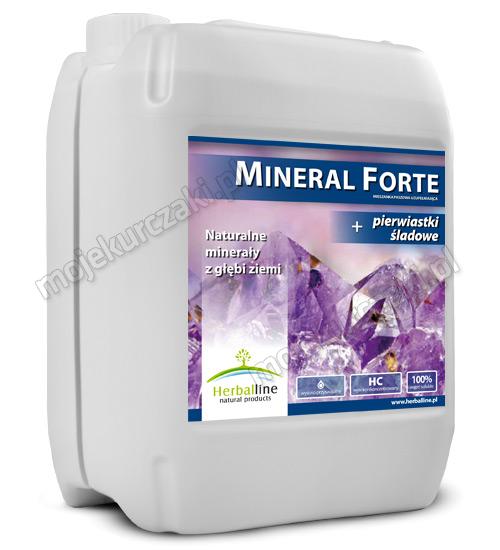 Mineral Forte 2l | MojeKurczaki.pl